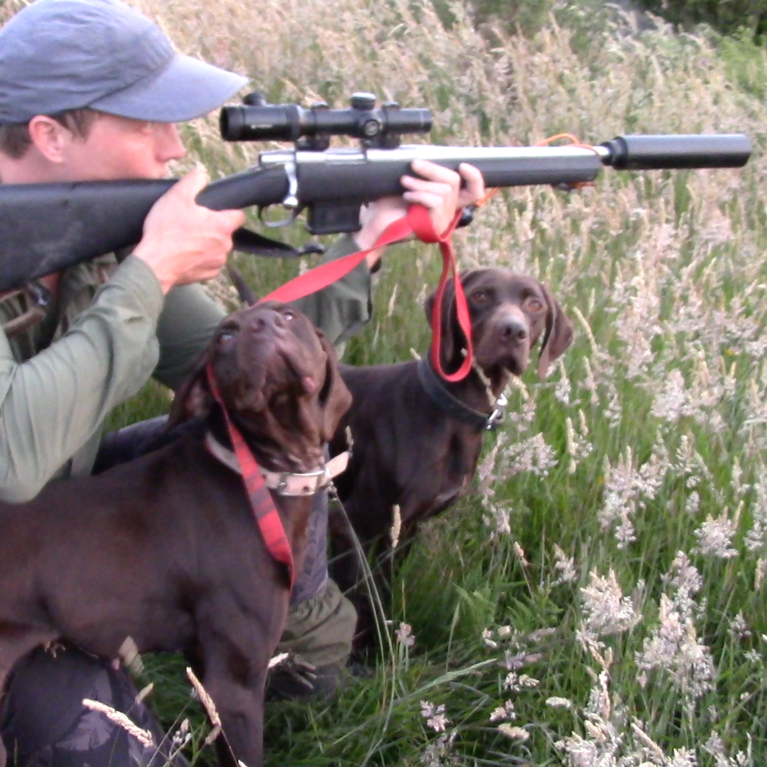 Buy the Right Suppressor for Hunting – HUNT EVERYTHING